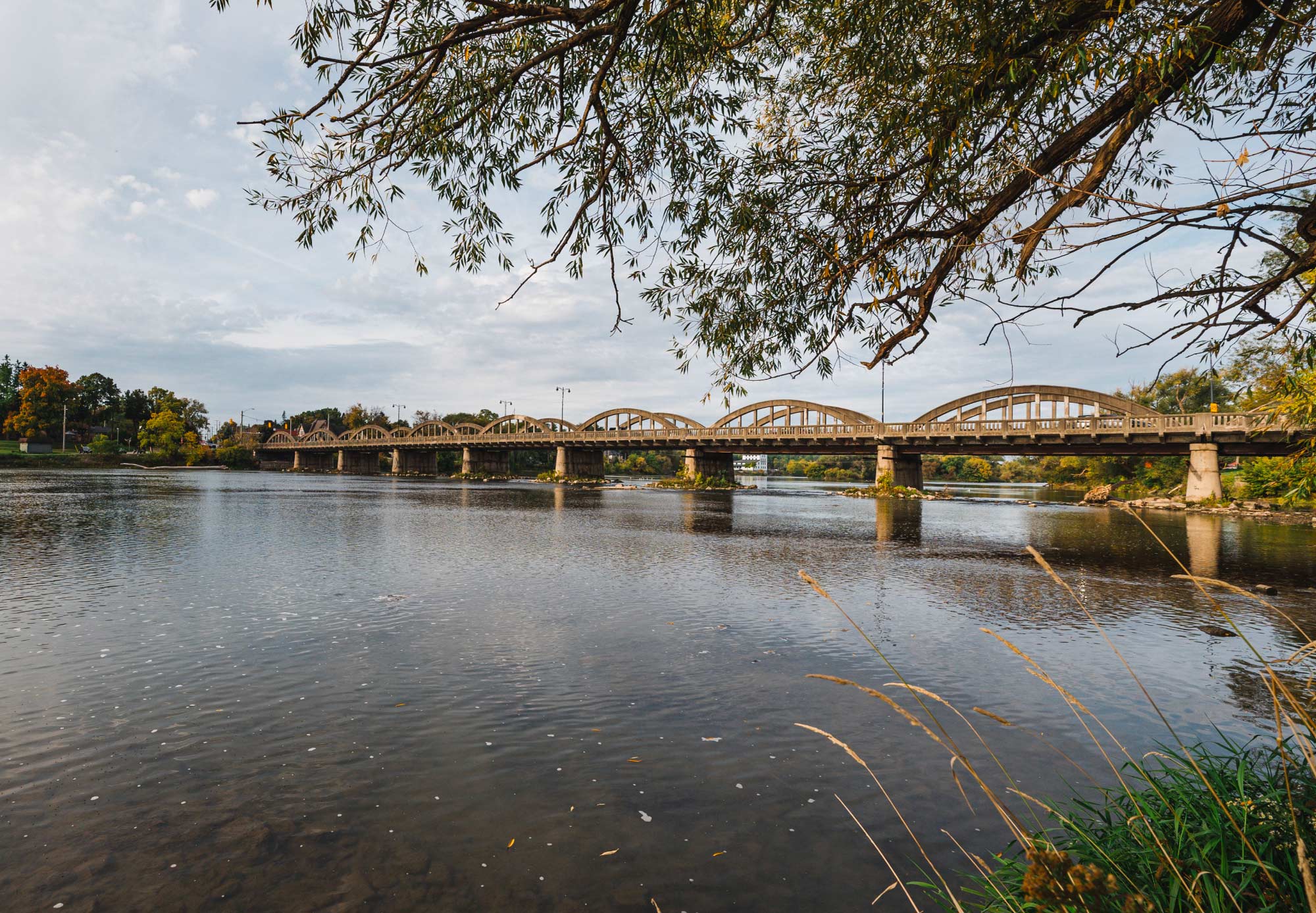 Living in Caledonia | The O’Reilly Group