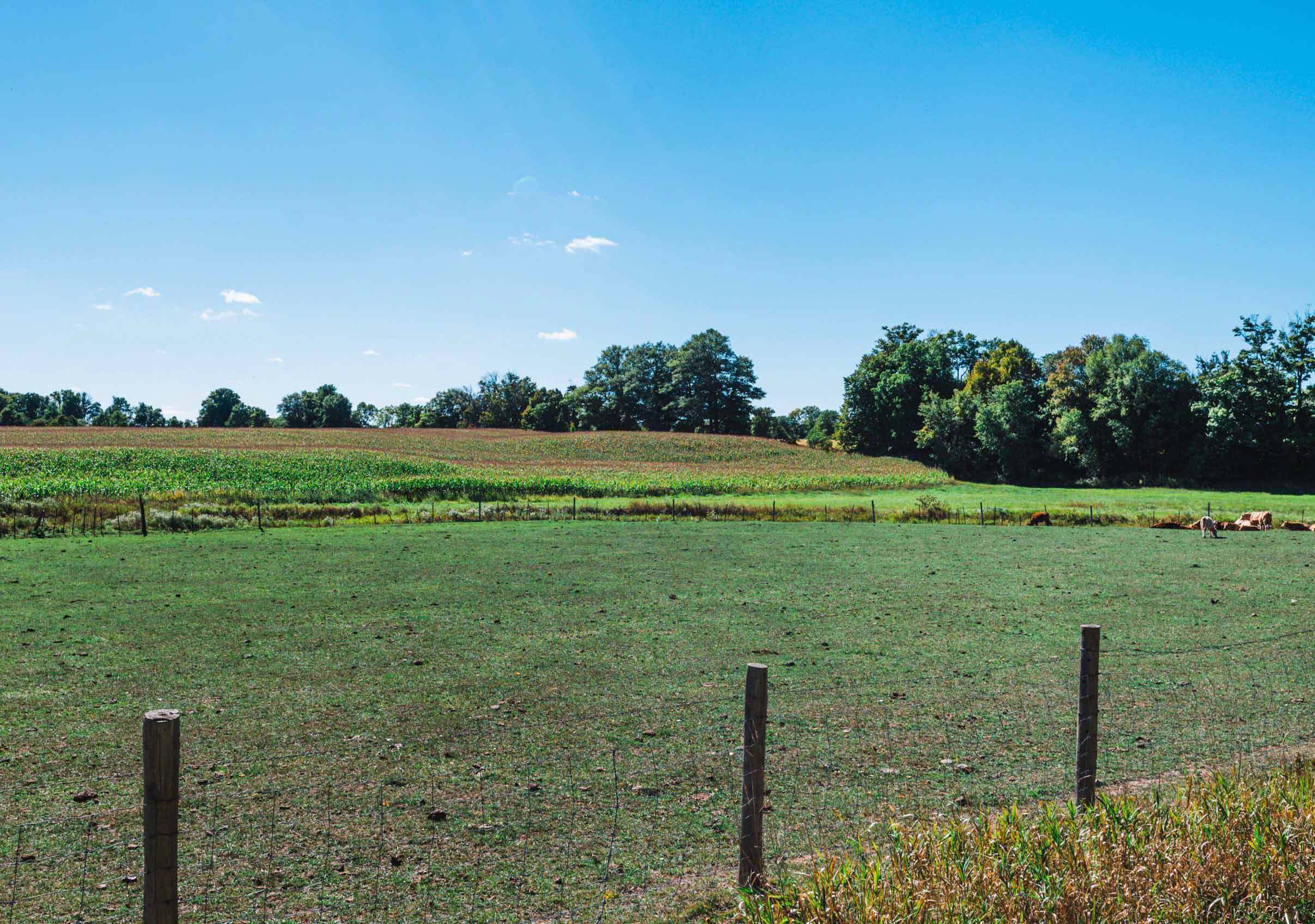 Living in Glanbrook | Hamilton Real Estate Agents